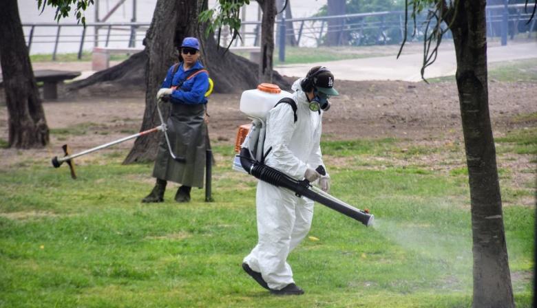 ¿Cómo se implementará el operativo "Objetivo Dengue" en Arroyo Seco ...